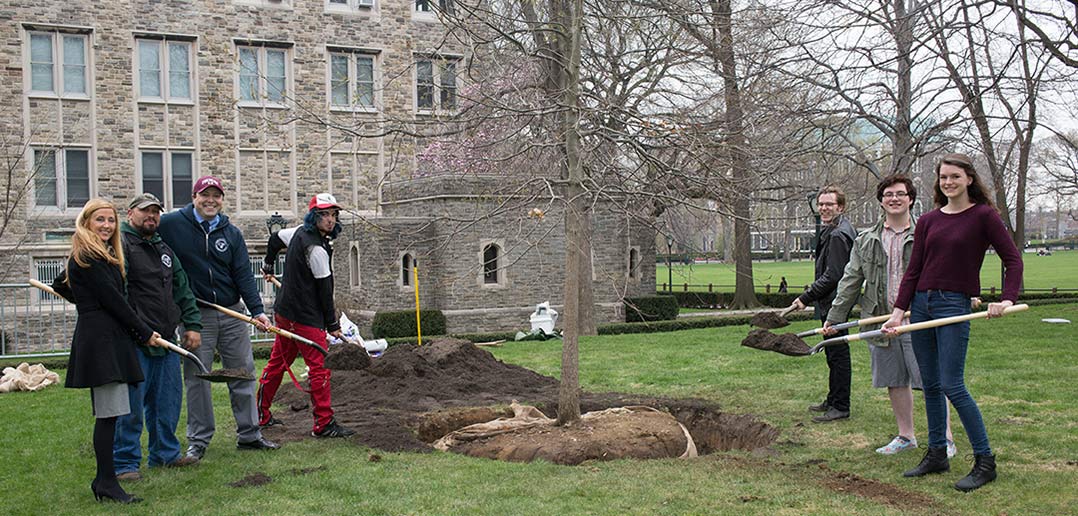 University Furthers Tree Conservation Efforts