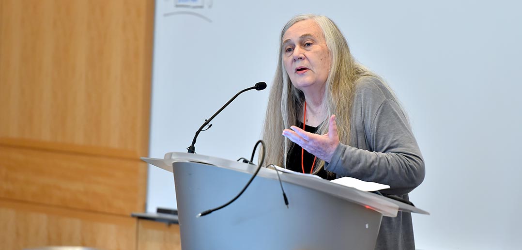 Templeton-Funded “Understanding” Project Opens New Field of Inquiry