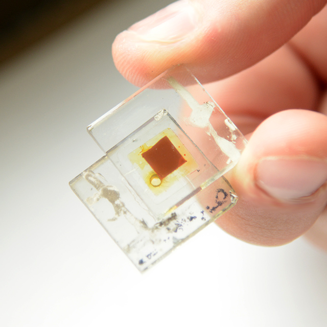 NSF Grant and Alumnus' Gift Boost Chemistry Research