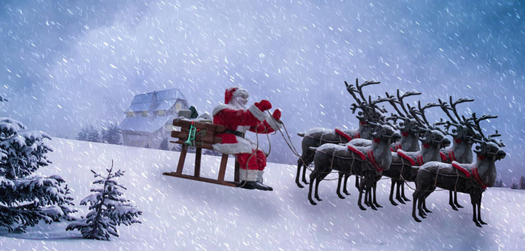 Call Them Santa’s Rein-Does, Says Fordham Student