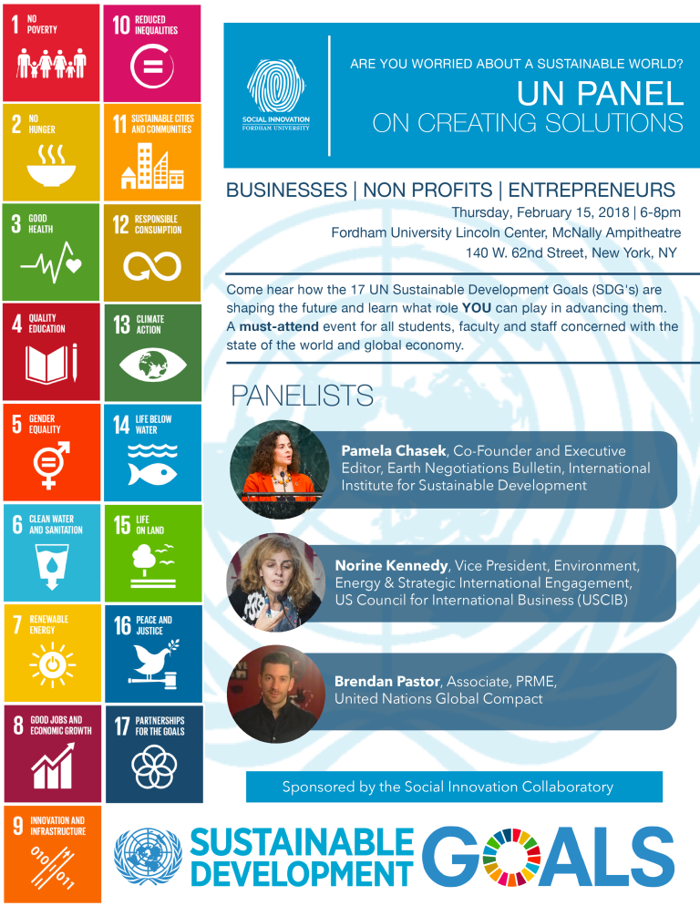 UN SDG Panel on Creating Solutions