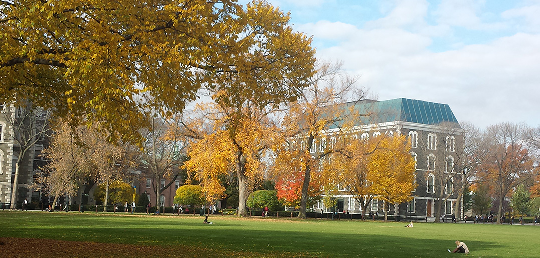 Fordham Honored as Steward for Trees
