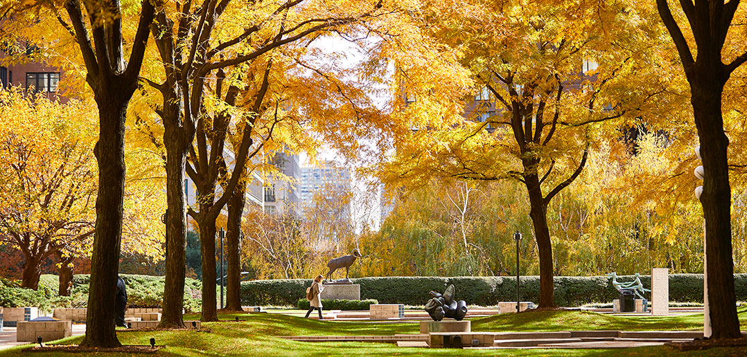 Slideshow: Fordham Fall Beauty