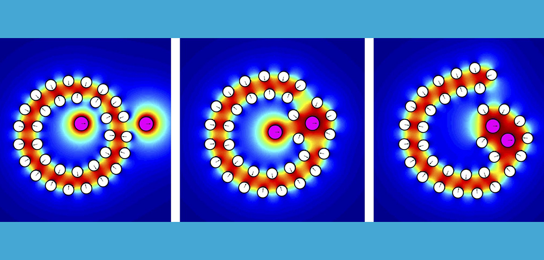 Cheerios, Math, and Biology: Understanding Self-Assembling Materials