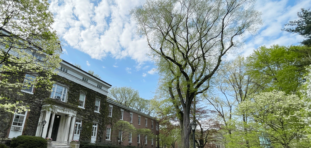 How Do You Save One of NYC's Oldest Trees?