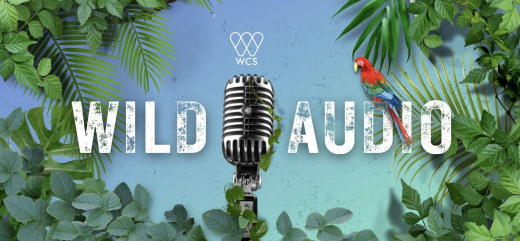 WCS Wild Audio: Earth Day Inspiration From Pope Francis On How To Frame ...