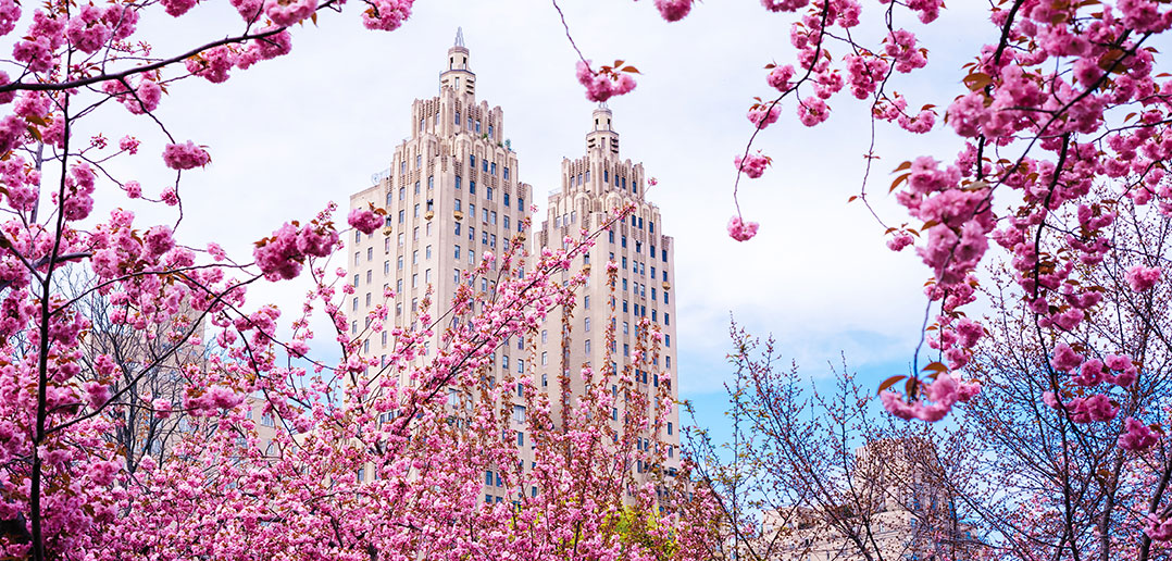 5 Things to Do in NYC | April 2024