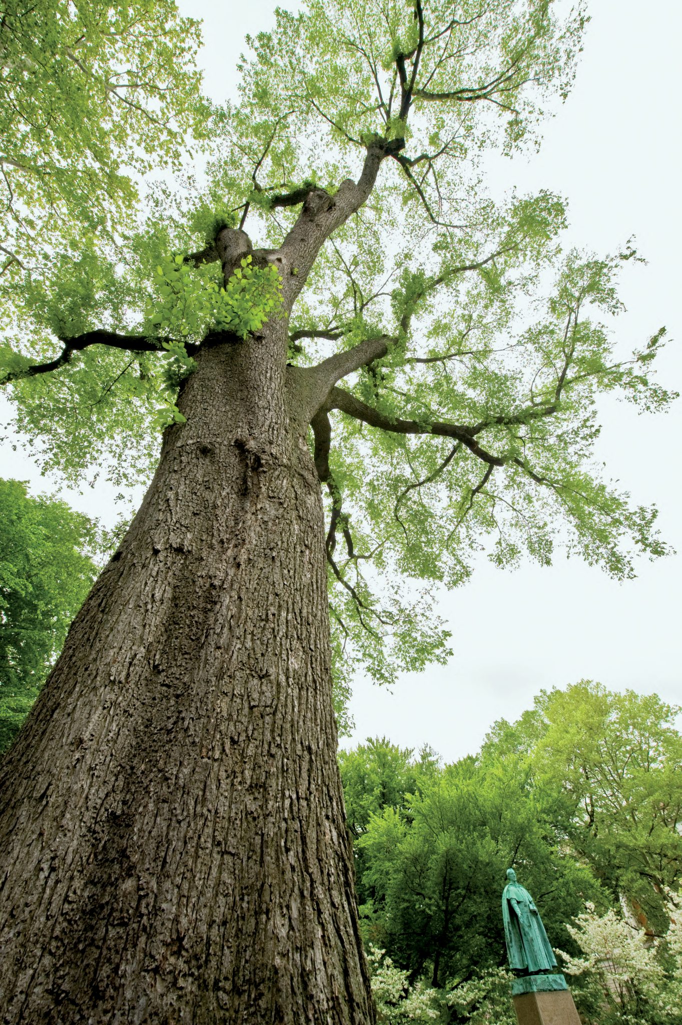 19 Reasons to Love Fordham Right Now